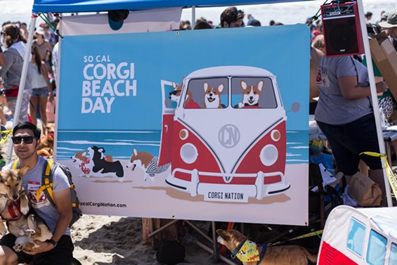 Corgi Beach Day 2015 @ Huntington Dog Beach – OC Weekly