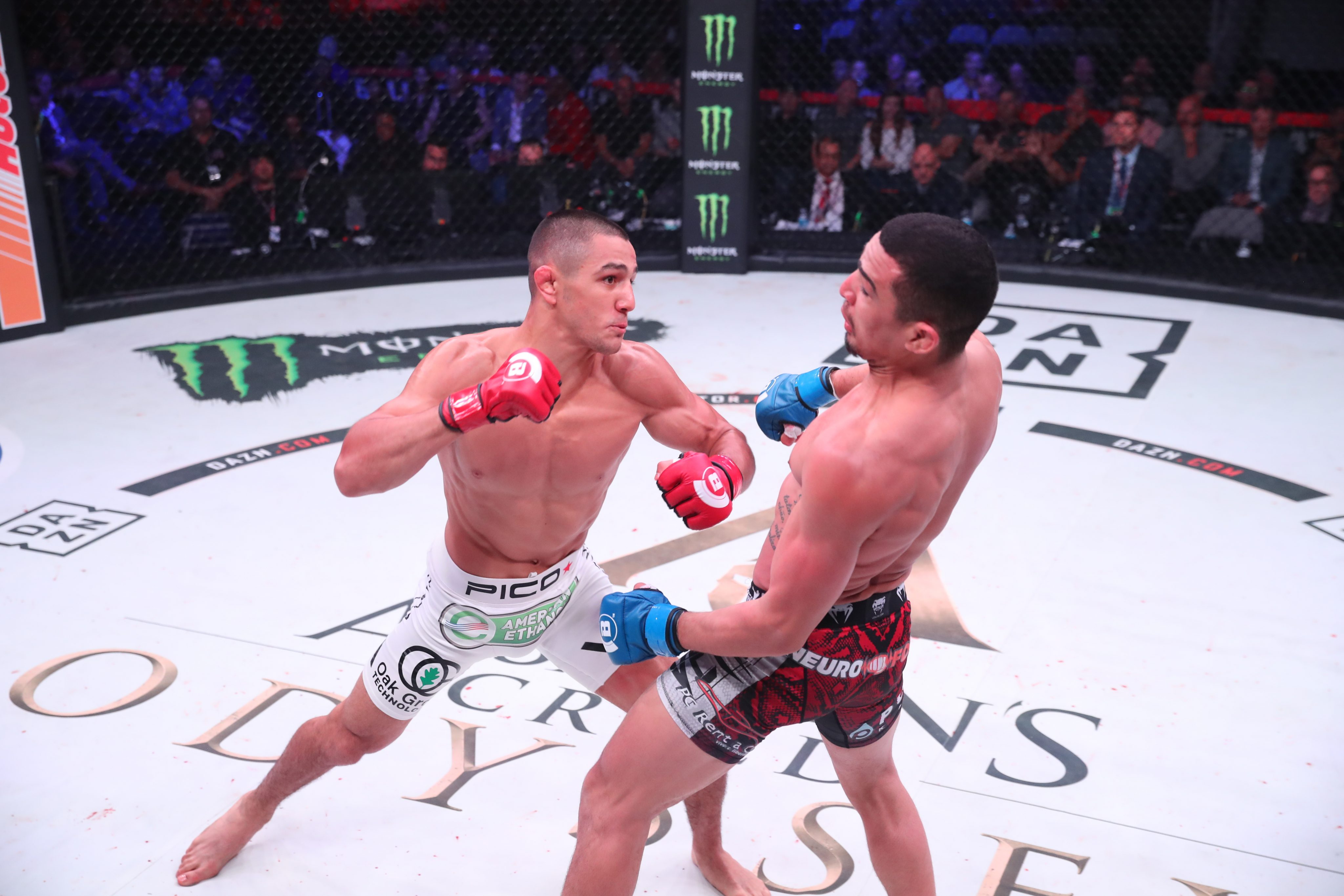Bellator 214 Showcases Local MMA Talent for a Global Audience | OC Weekly